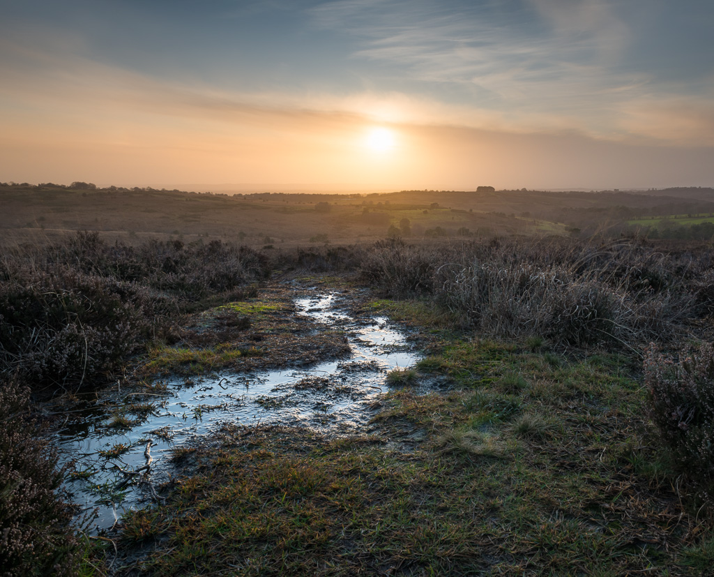 Two faces of Ashdown Forest – elements