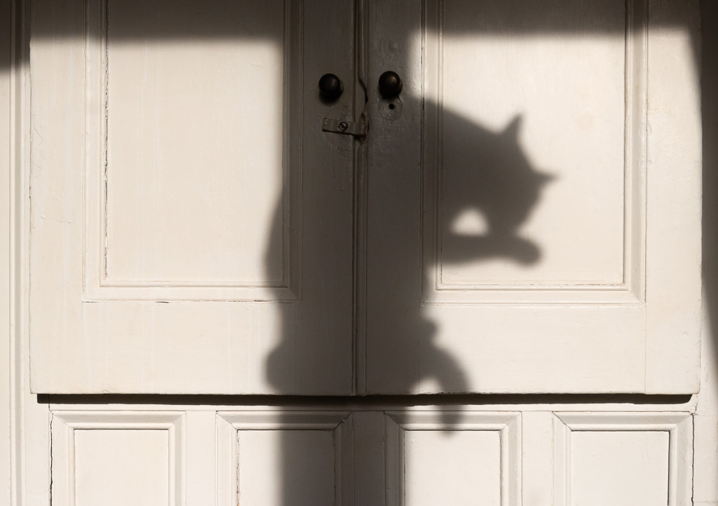 More shadow cats – elements