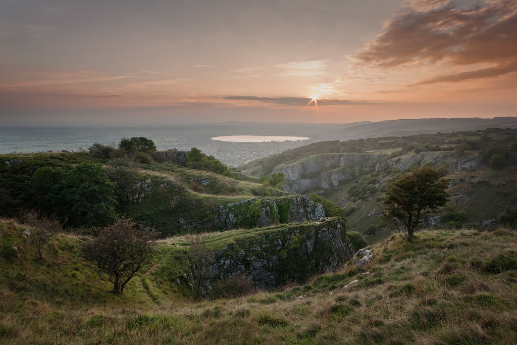 Gorgeous Cheddar – elements