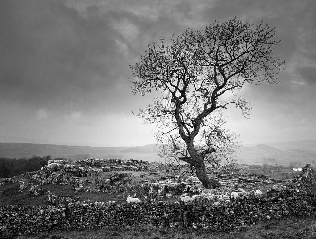 Winskill – elements